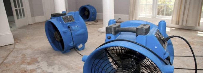 Home - DASO Green Technologies